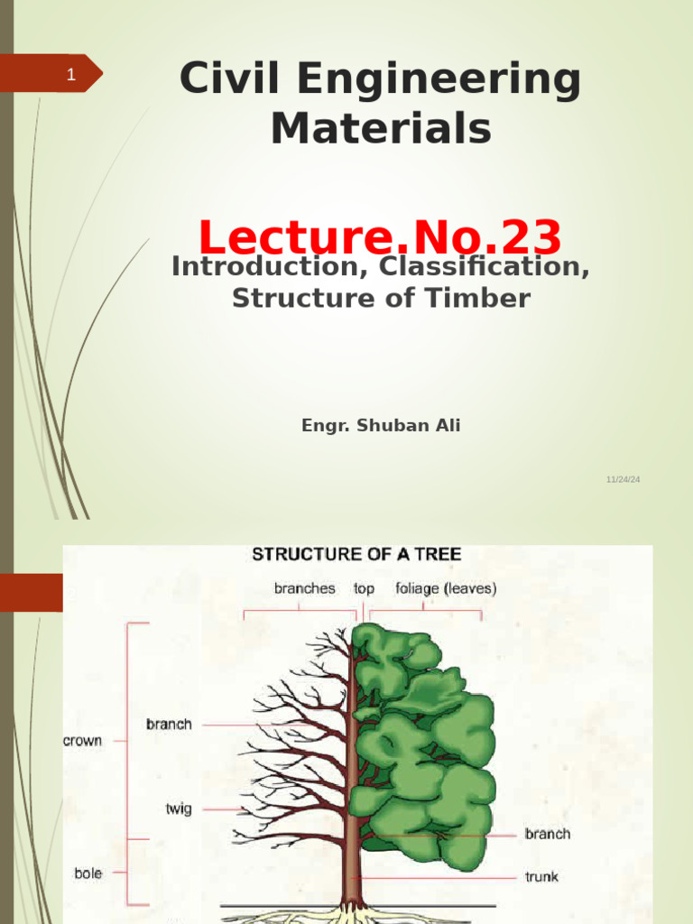 Introduction and Classification of Timber | PDF | Wood | Lumber
