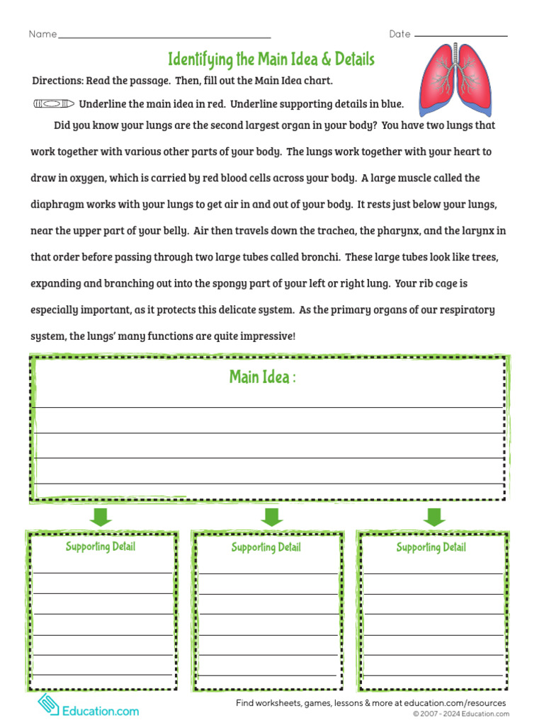 Identifying The Main Idea and Details | PDF | Language Arts & Discipline