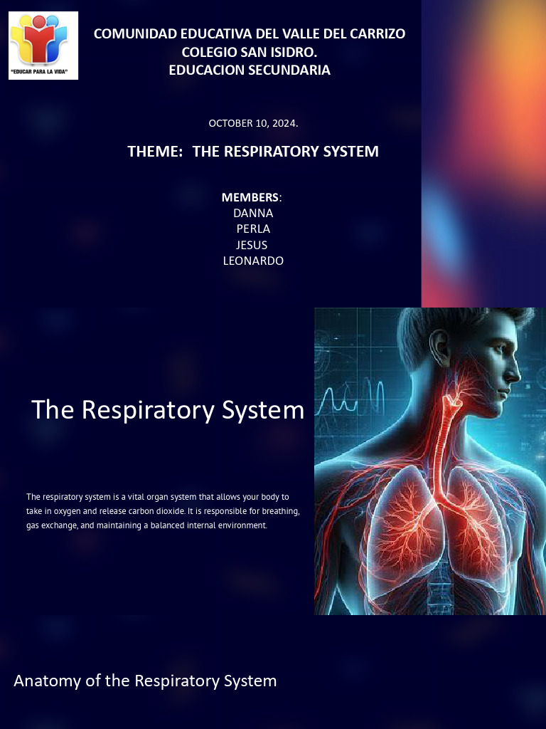 The Respiratory System | PDF | Respiratory System | Respiratory Tract