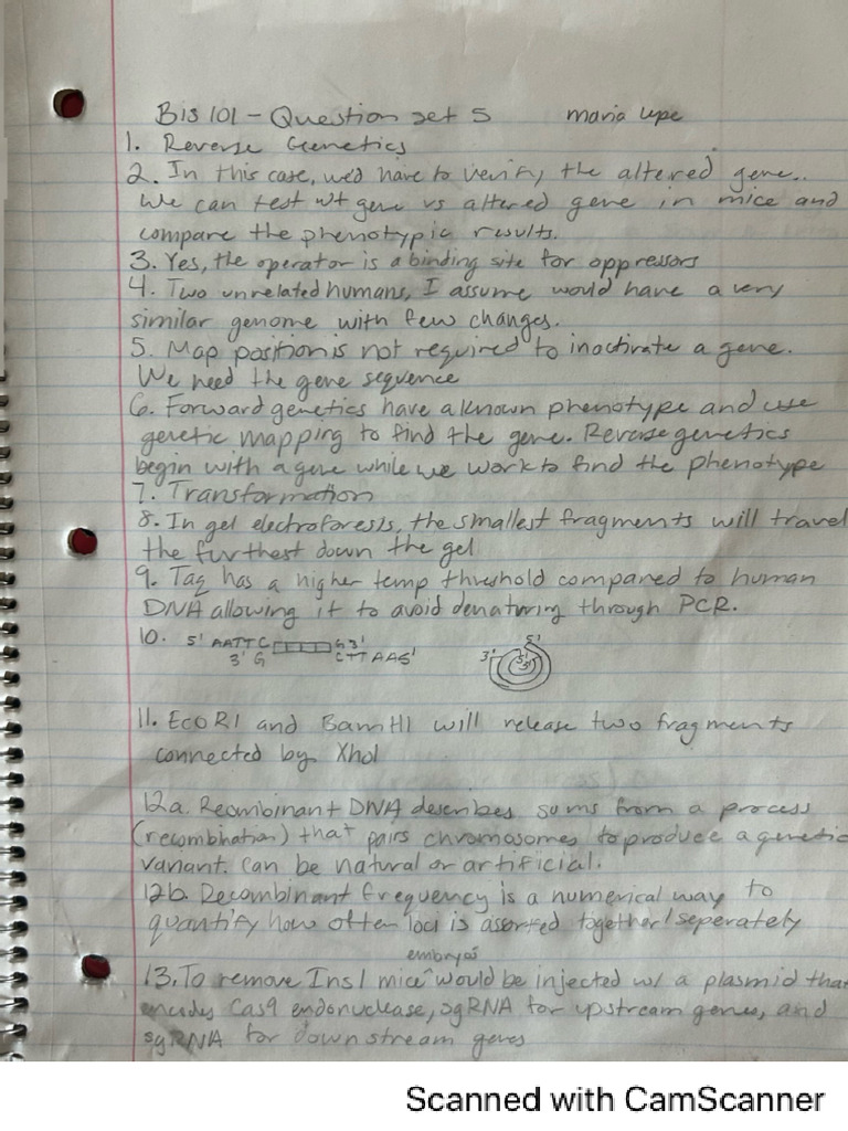 Bis101-Question Set 5 | PDF Bis101-Question Set 5 | PDF
