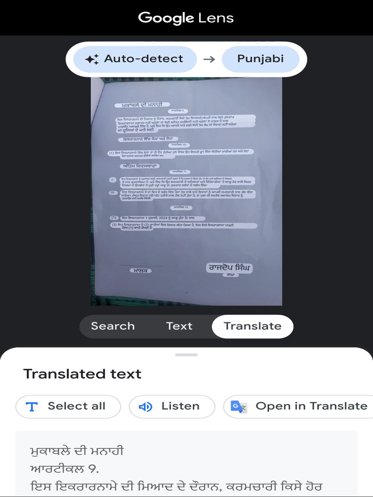 Google Lens | PDF