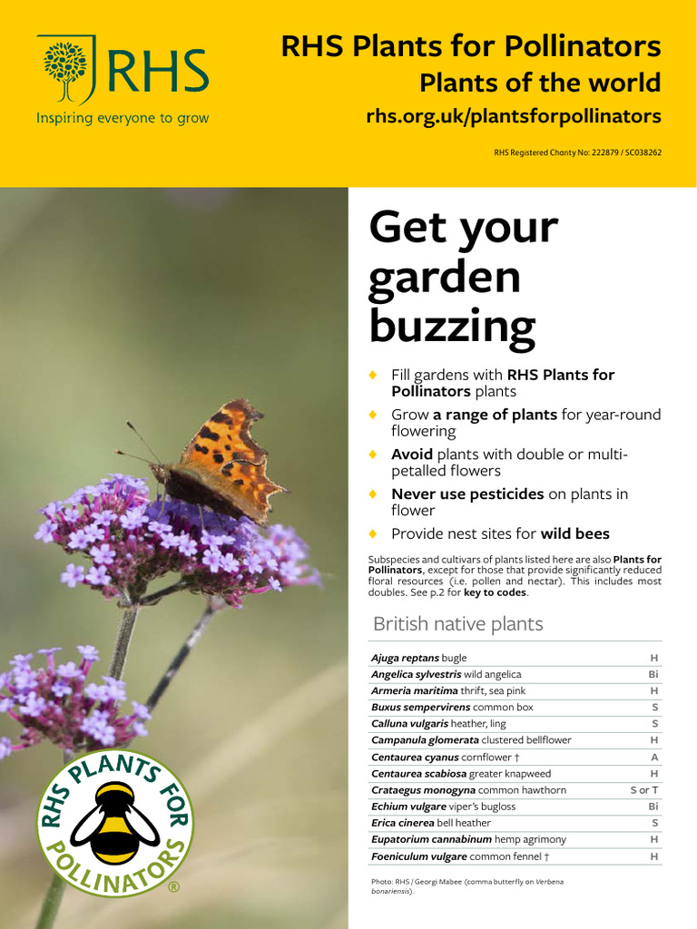 RHS Plants for Pollinators Guide | PDF | Pollinators | Garden Plants