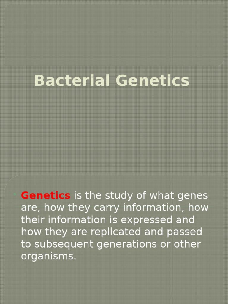 Understanding Bacterial Genetics Basics | PDF | Translation (Biology) | Rna
