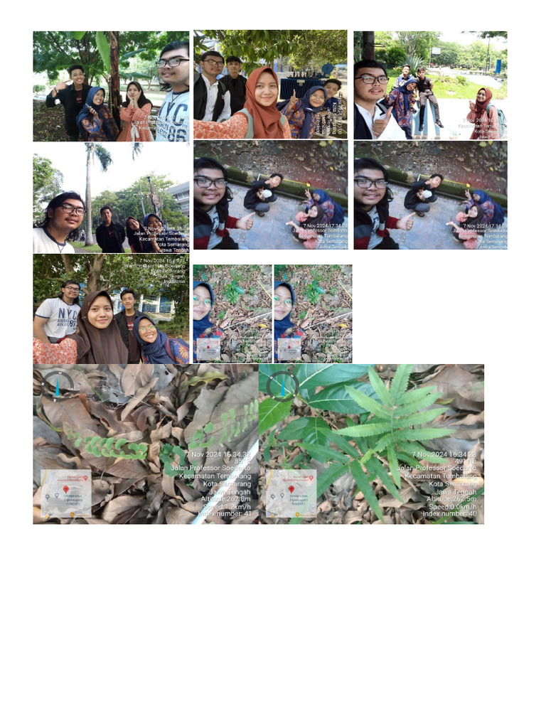 Print Takson Ac 4 | PDF
