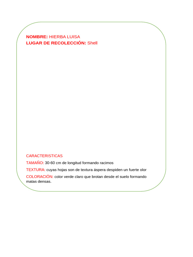 Tipos de Hojas | PDF