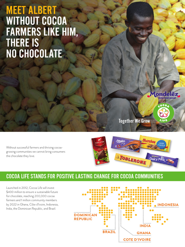 MD LZ Cocoa Life Fact Sheet | PDF | Cocoa Bean | Chocolate