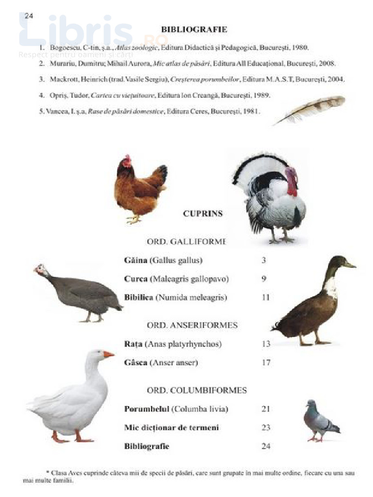 Pasari Domestice - Daniela Dosa | PDF