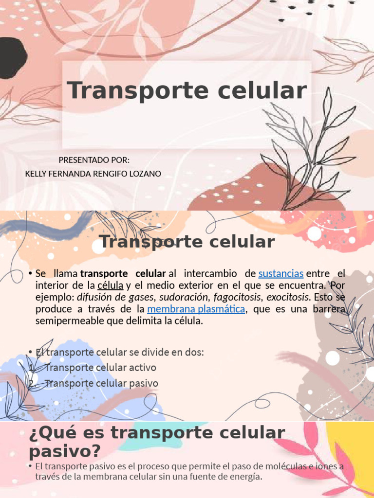 Transporte Celular: Activo y Pasivo | PDF | Biología Celular | Bioquímica