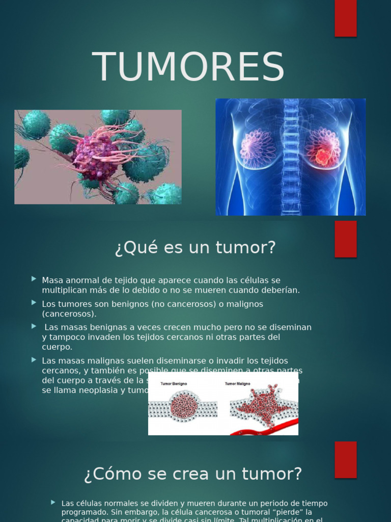 TUMORES | PDF | Cáncer | Neoplasias