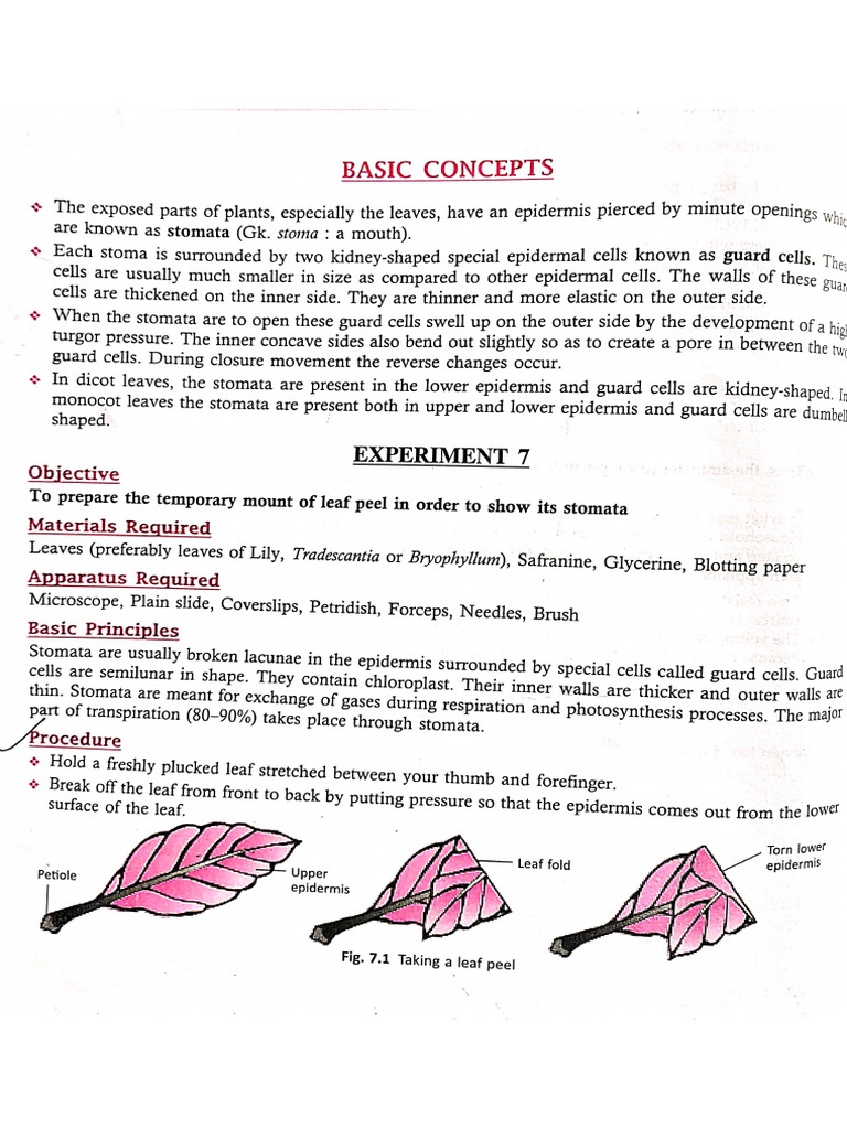 Biology Practical X 2024 | PDF