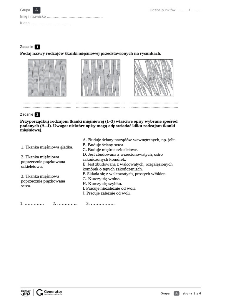 1.2.Test-Tkanki Nabłonkowa, Mięśniowa I Nerwowa | PDF
