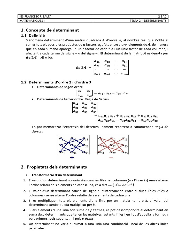 Tema2_Determinants | PDF