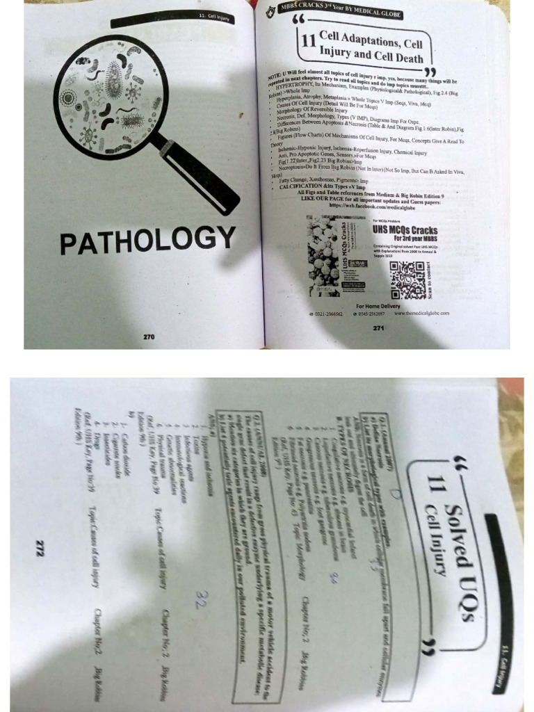 Patho Past | PDF