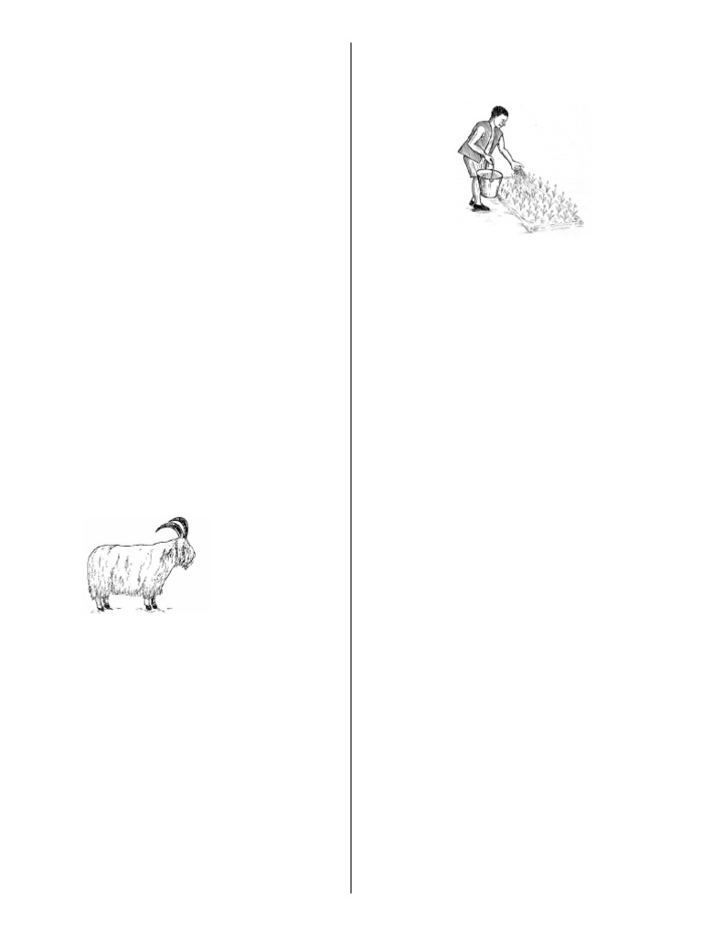 Primary Science Mvunguti | PDF | Soil | Irrigation