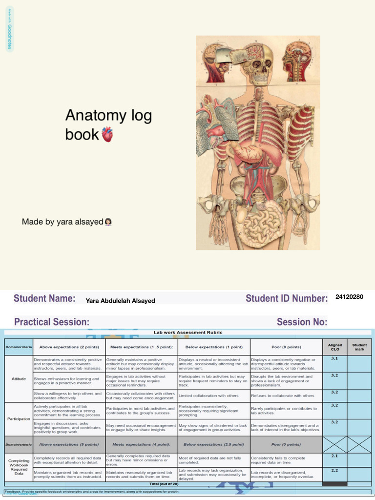 Comprehensive Anatomy Log Book | PDF | Anatomical Terms Of Location ...
