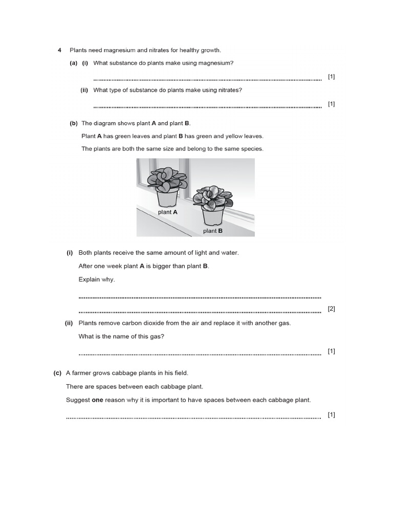 Yr9 Worksheet On Photosynthesis and Carbon Cycle. | PDF