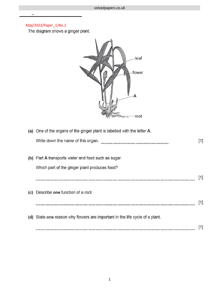 Photosynthesis Solved Papers 2 Answer | PDF | Biology | Nature