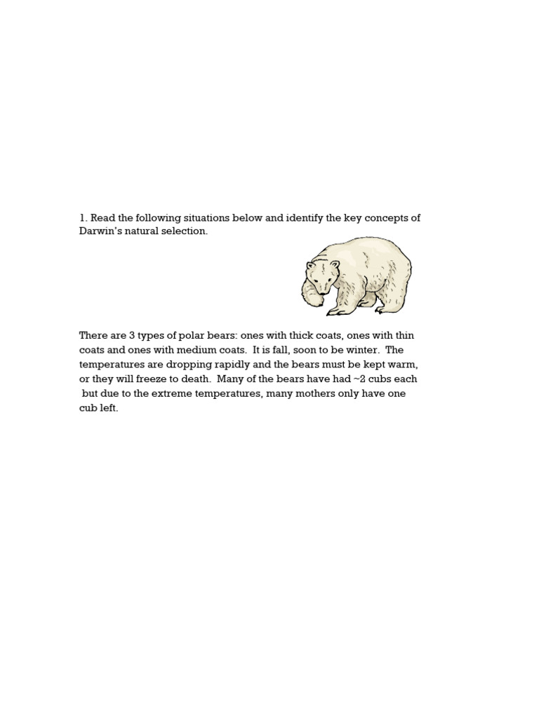 Natural Selection Student Worksheet | PDF | Science & Mathematics