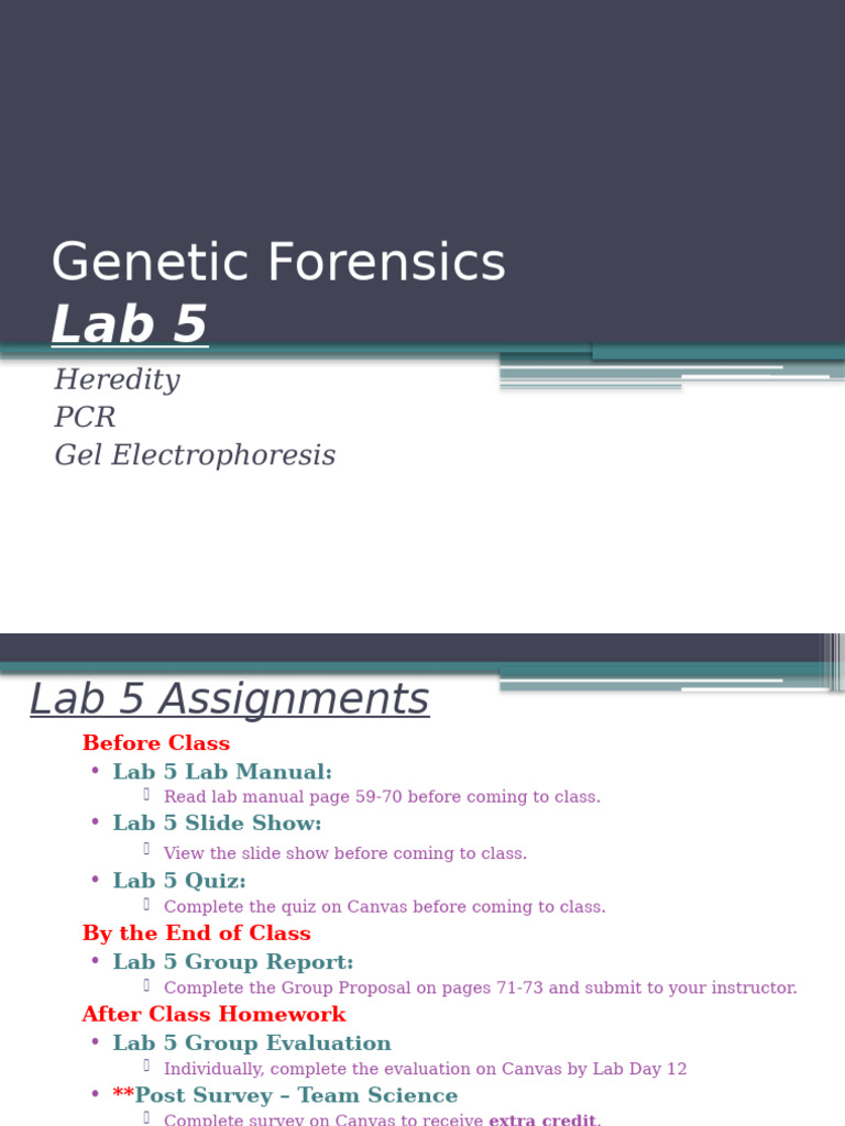 Lab 5-Slide Show-F24 | PDF | Dominance (Genetics) | Genotype