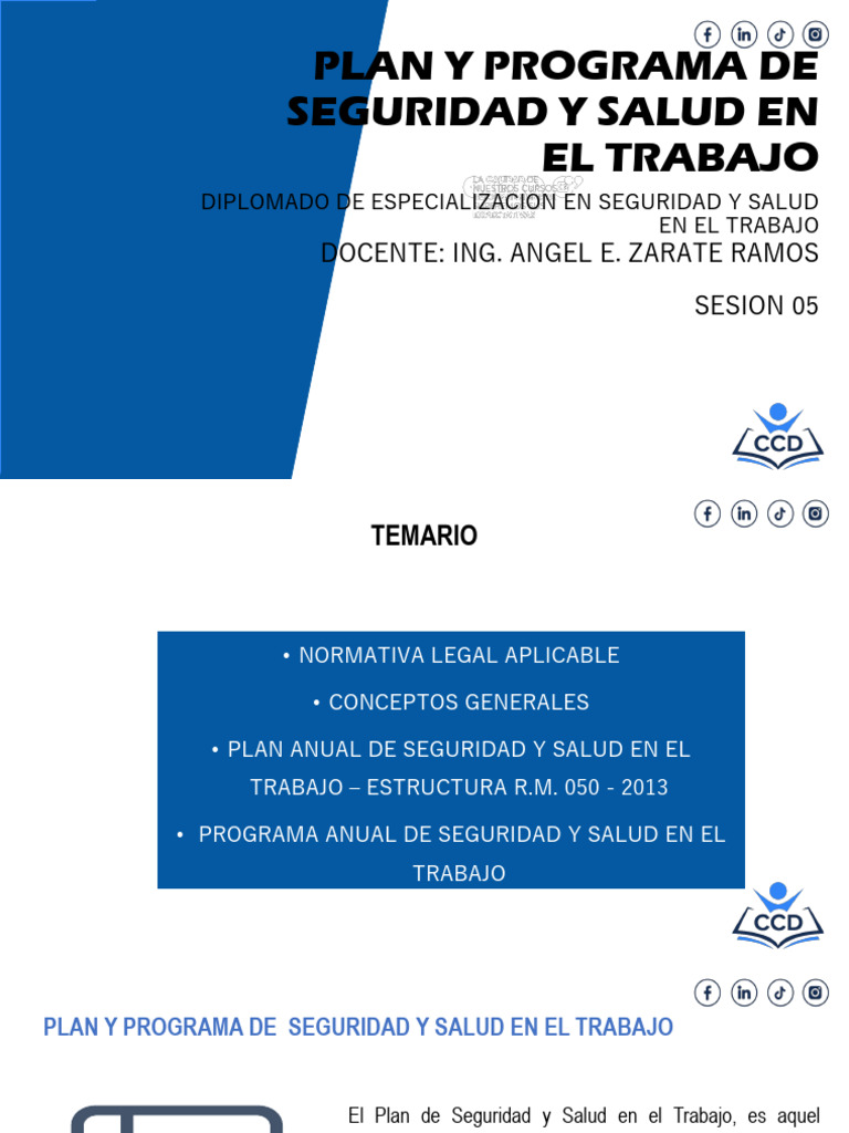 Sesion 05 Plan y Programa de SST G17 | PDF | Auditoría | Valores