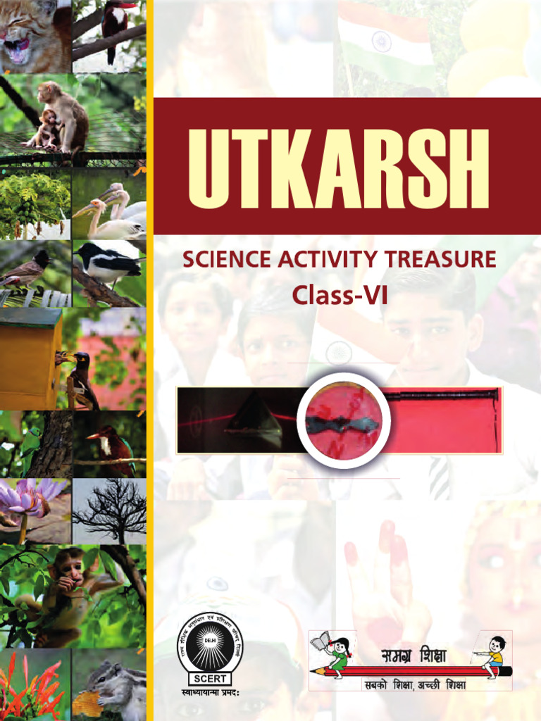 Science Activity Class 6 Eng | PDF | Foods | Nutrients