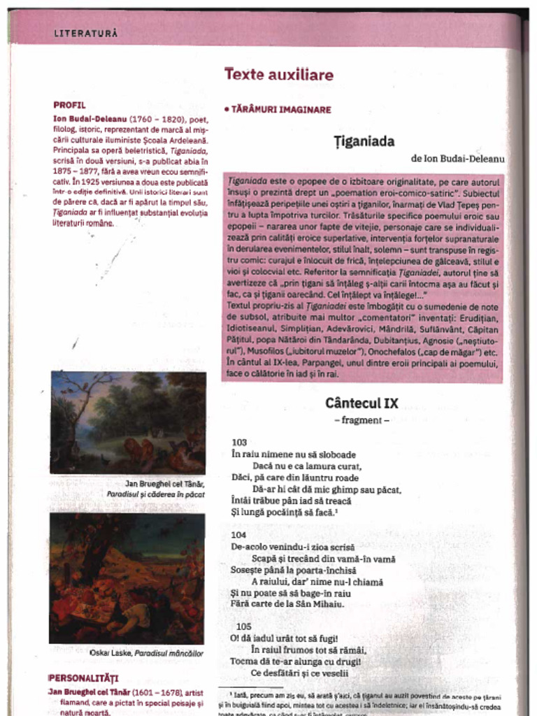 Țiganiada - Ion Budai-Deleanu | PDF