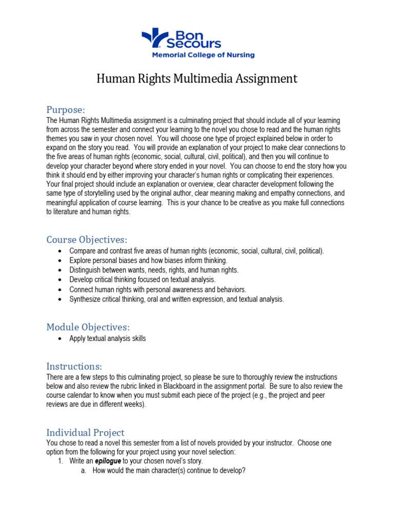 Human Rights Multimedia Assignment Instructions | PDF | Peer Review | Learning