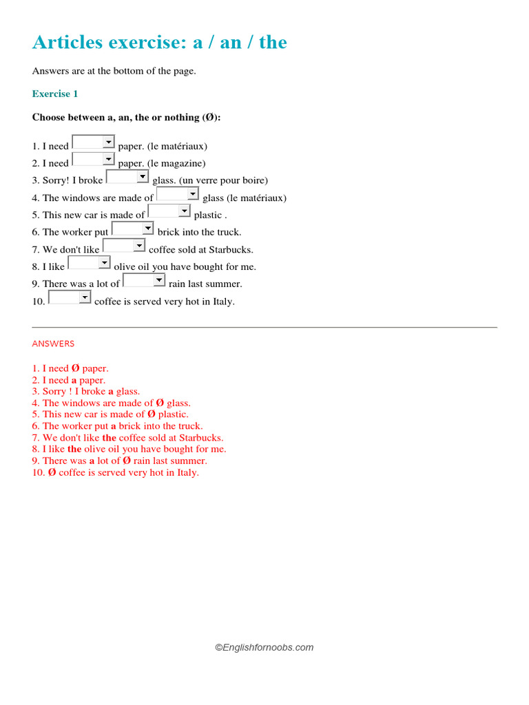 Articles Exercise A An The | PDF