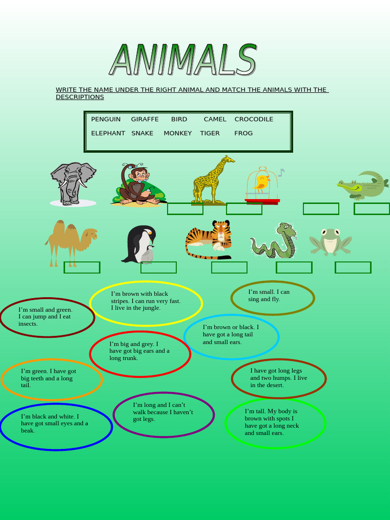 Animals Fun Activities Games 990 | PDF