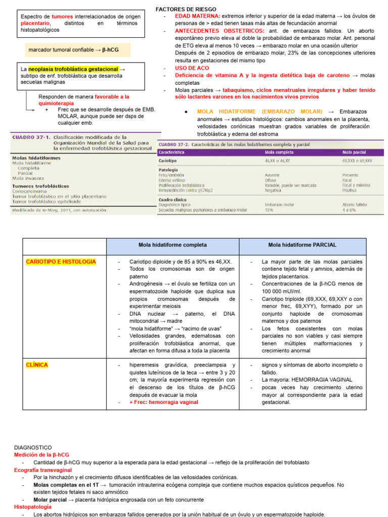 Mola Hidatiforme (Embarazo Molar) | PDF | El embarazo | Cáncer