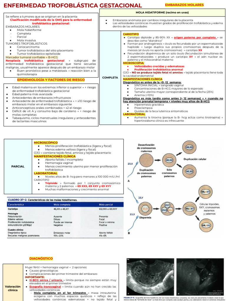 ENFERMEDAD TROFOBLÁSTICA GESTACIONAL - Libro | PDF | El embarazo | Placenta