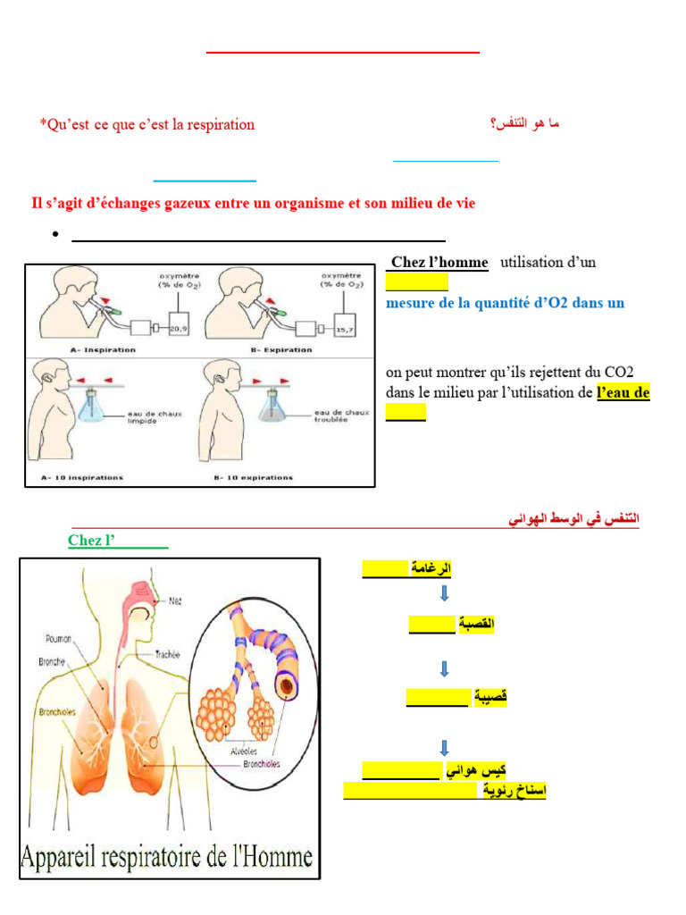 La respiration des êtres vivants | PDF | Respiration | Branchie