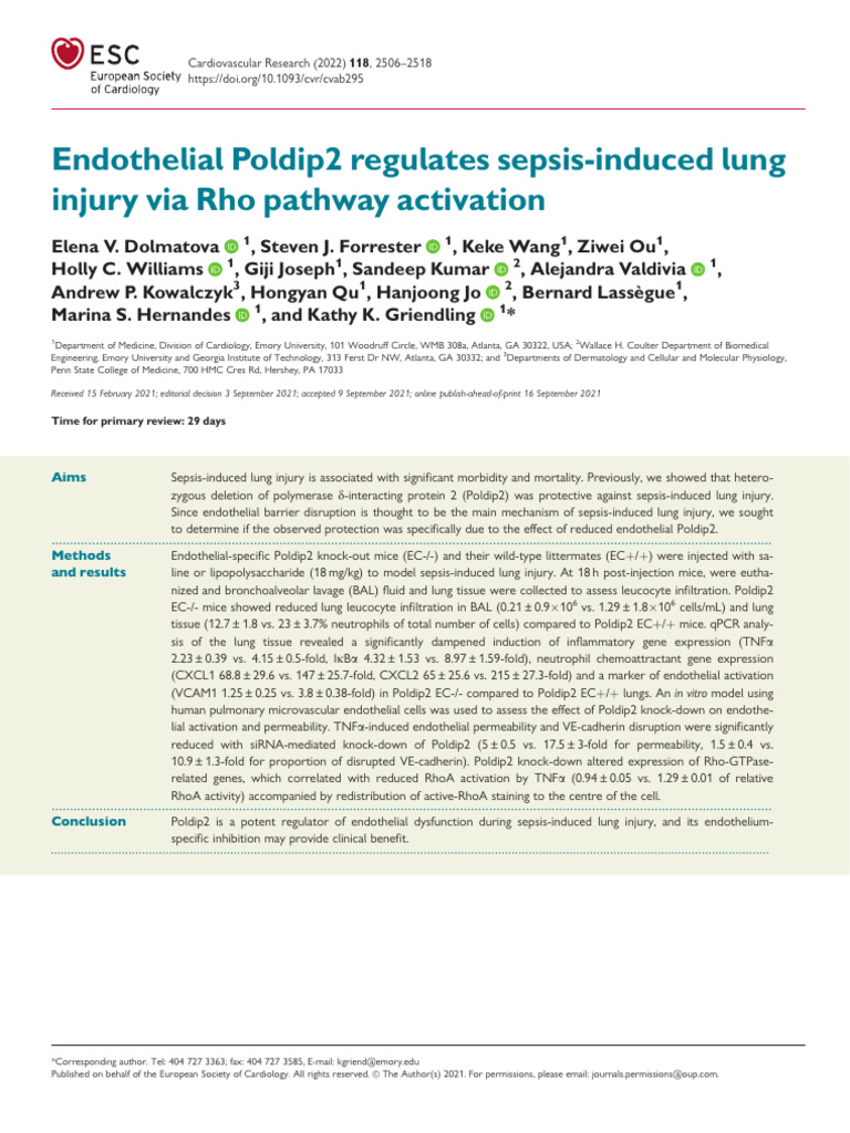 Endothelial Poldip2 Regulates Sepsis-Induced Lung Injury Via Rho ...