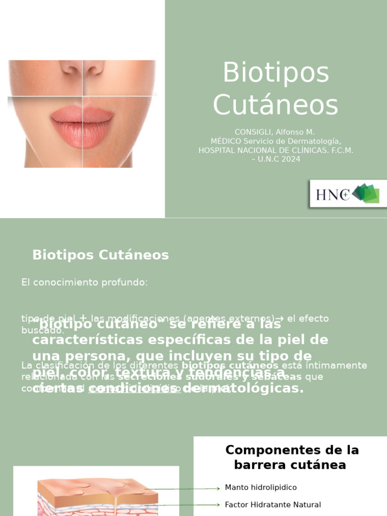 Biotipos Cutáneos Abril 2024 | PDF | Piel