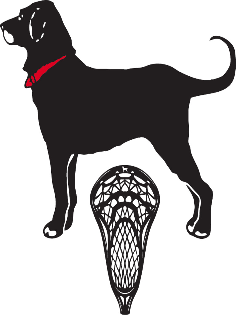 Black Dog | PDF