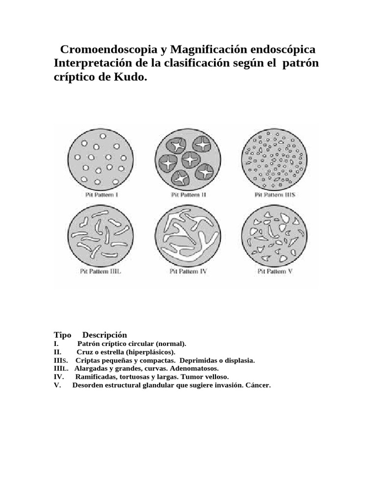 Patrón de Kudo | PDF | Historia
