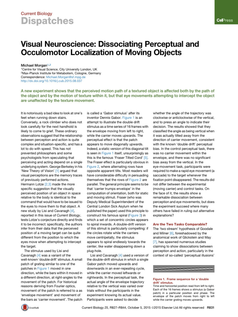 Visual Neuroscience Dissociating Perceptual and O | PDF | Senses | Perception