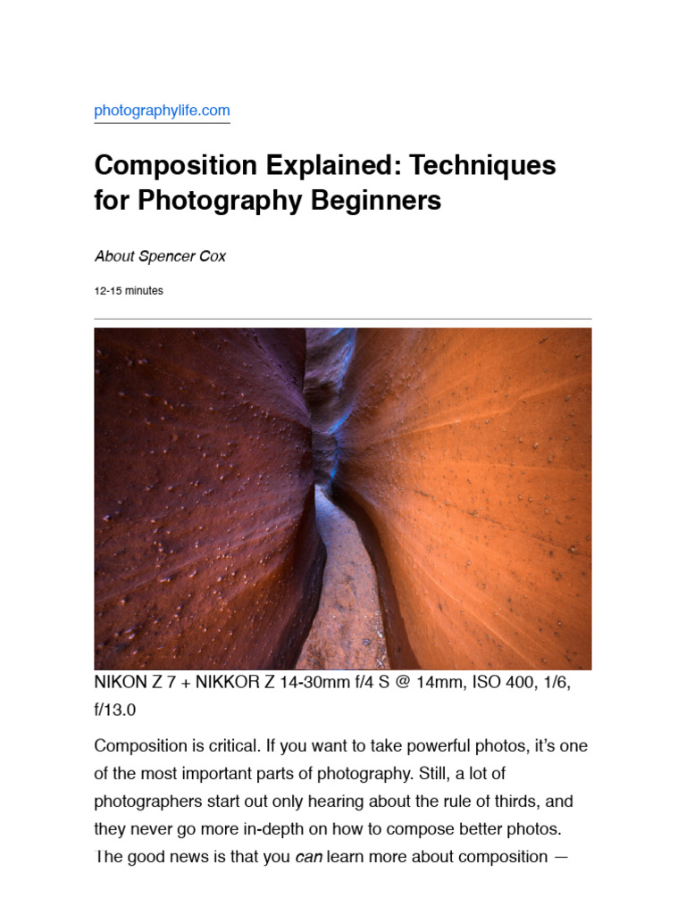 Composition Explained Techniques For Photography Beginners | PDF | Composition (Visual Arts ...