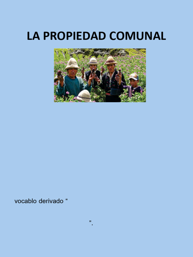 Tenencia Comunal en Guatemala | PDF | Propiedad | Posesión (Ley)