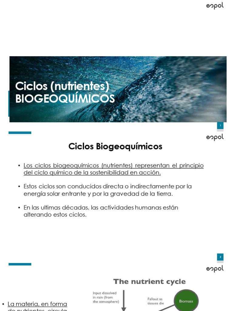 Clase6 Eco Ecos Ciclos | PDF | Ciencias sociales