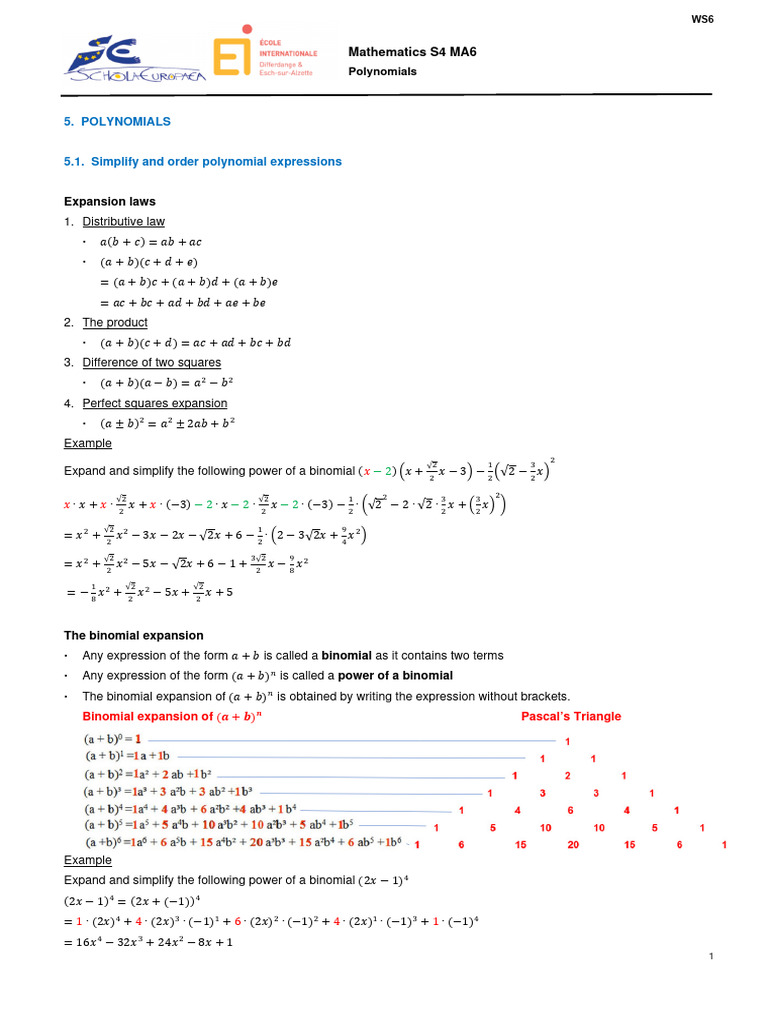 6 - Worksheet 6 - Polynomials | PDF | Factorization | Zero Of A Function