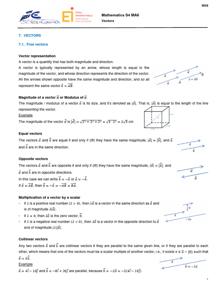 8 - Worksheet 8 - Vectors 2D | PDF | Euclidean Vector | Elementary Geometry