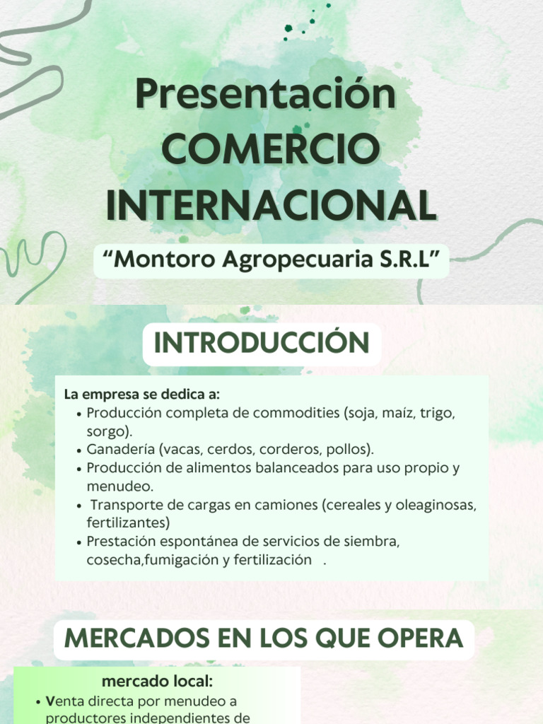 Presentacion Comercio Internacional 20241119 105317 0000 | PDF ...