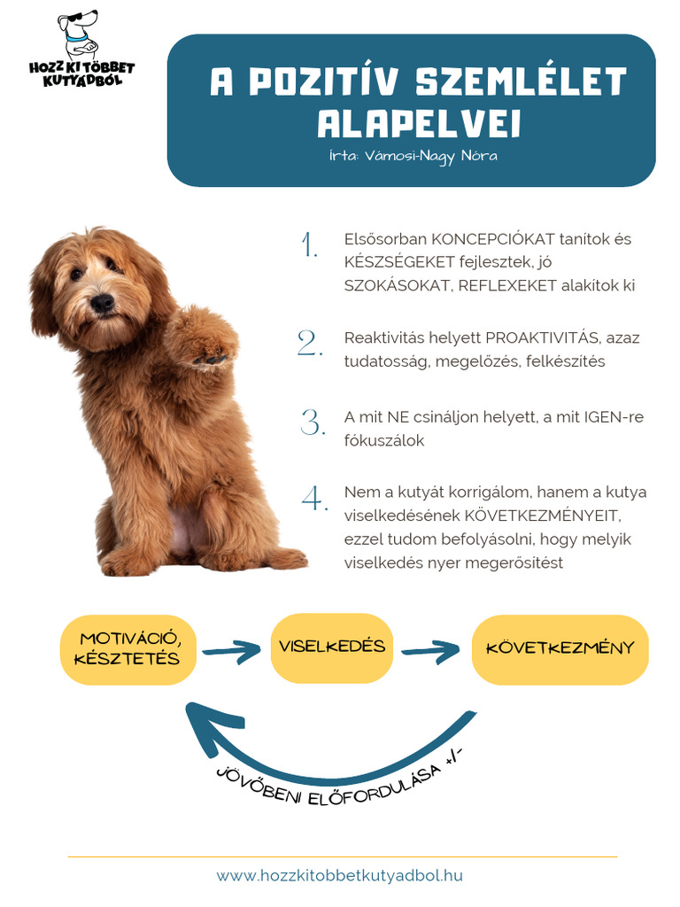 A Pozitiv Szemlelet Alapelvei | PDF