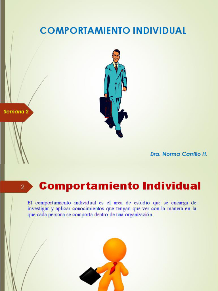 Comportamiento Individual Alumnos | PDF