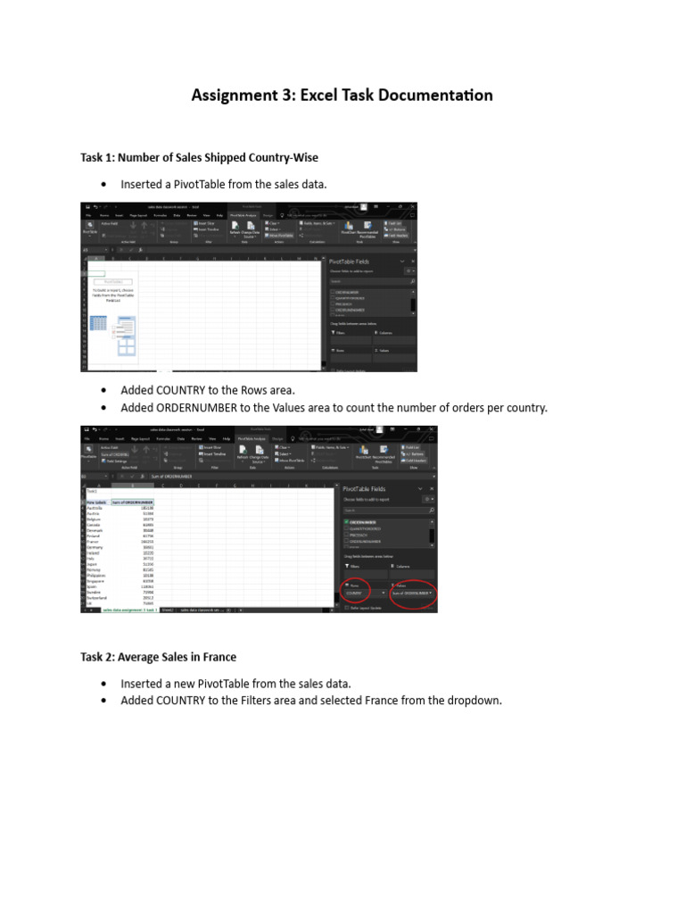 Assignment 3 Excel Word Documentation | PDF