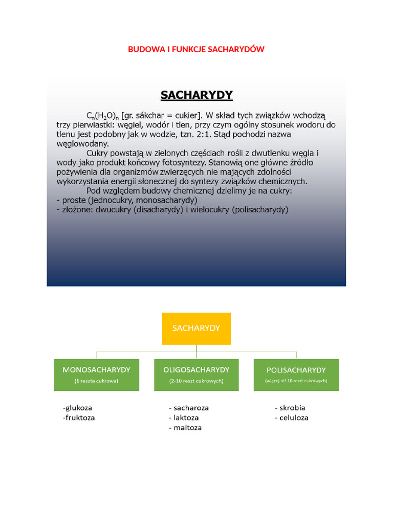 Budowa I Funkcje Sacharydów | PDF