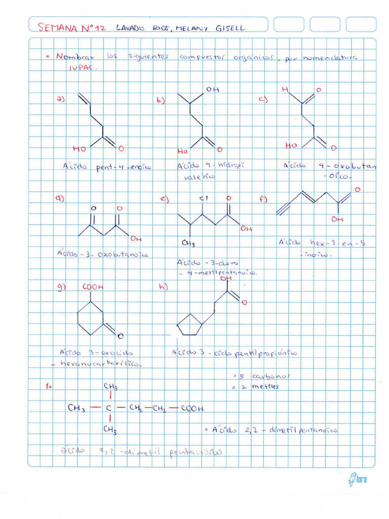 Tarea n12 Quimica Orgánica - Lavado Rios Melany Gisell | PDF