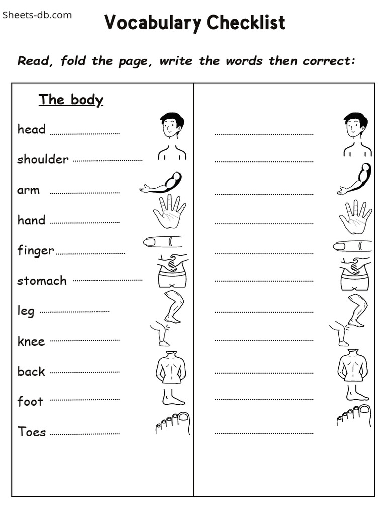 Vocabulary Checklist | PDF