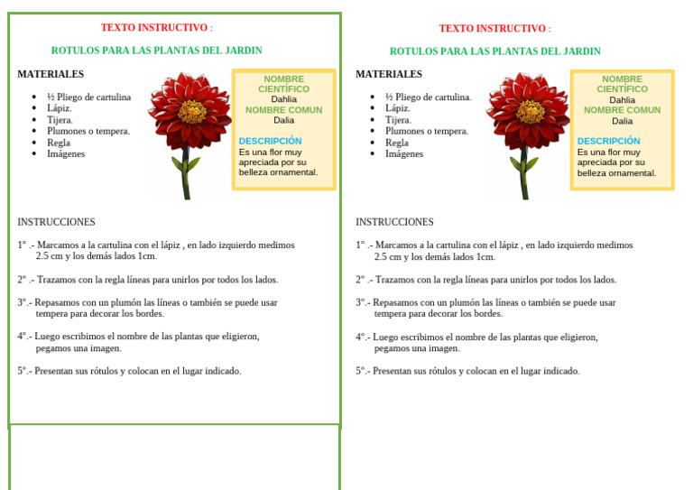 Rótulos Creativos para Jardín | PDF | Plantas | Botánica